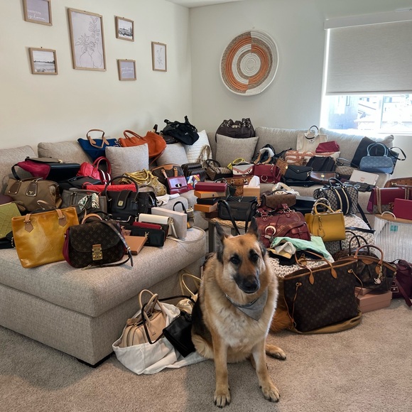 Bags | 5 Random Pull Condition Shown During Live Show | Poshmark